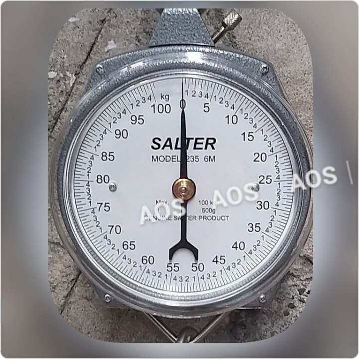100kg Salter Hanging Scale | Lazada PH