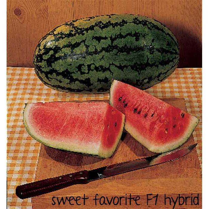 Sweet favorite F1 hybrid watermelon fruit seeds 4seeds | Lazada PH