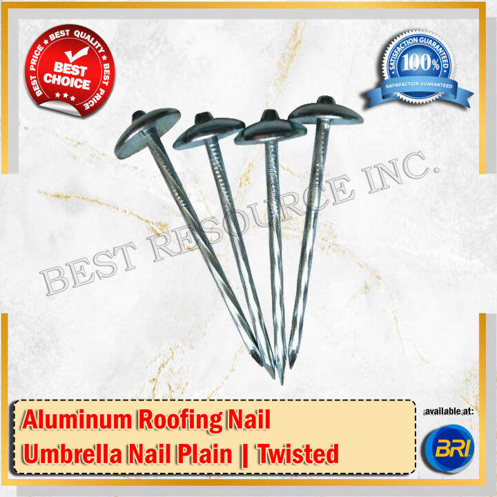 Aluminum Roofing Nail | Umbrella Nails | Pako sa Yero | Plain | Twisted ...