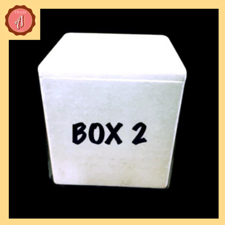 Styrobox (Box 2) Ice Chest Rectangle Styrofoam Container | Lazada PH