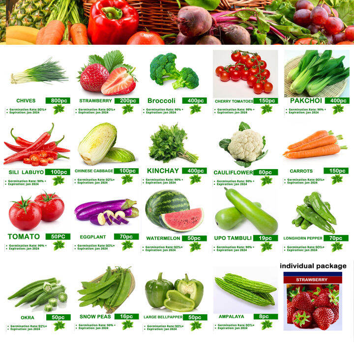 Vegetables Seeds kamatis talong pechay ampalaya sigarilyas upo lettuce ...