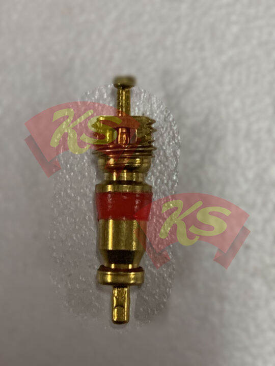 Valve Cores (100pcs) | Lazada