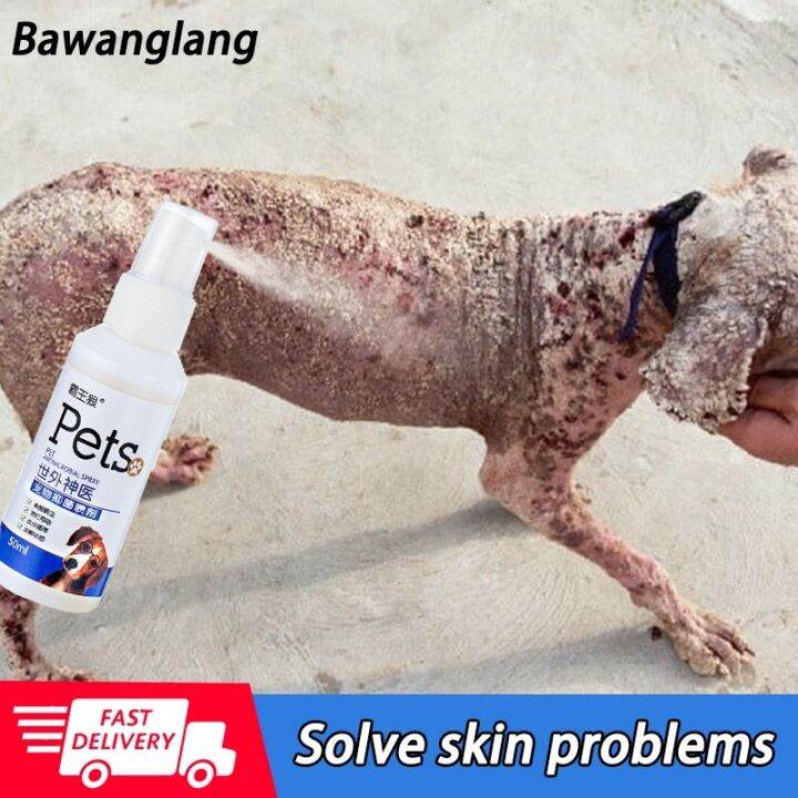 Pet antibacterial spray Kill germs and bacteria on pets disease cure ...