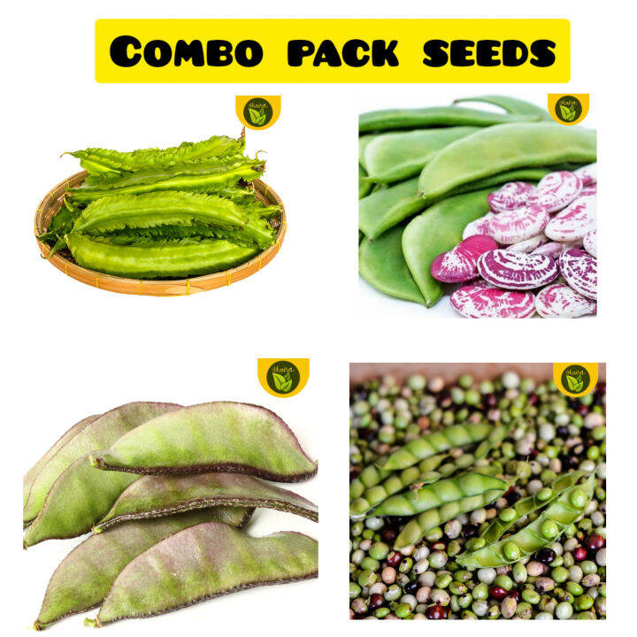 COMBO PACK SEEDS binhi pantanim: sigarilyas bataw kadyos lima patani ...