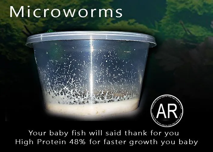 Microworms Raja Cacing | Lazada