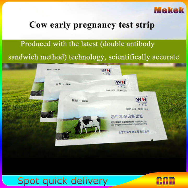 Cow Pregnancy Test Paper High Accuracy Livestock Disposable Early ...