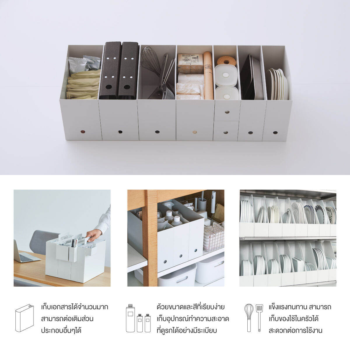 มูจิ กล่องแฟ้มโพลีโพรพิลีน - MUJI File Box 1/2 | Lazada.co.th