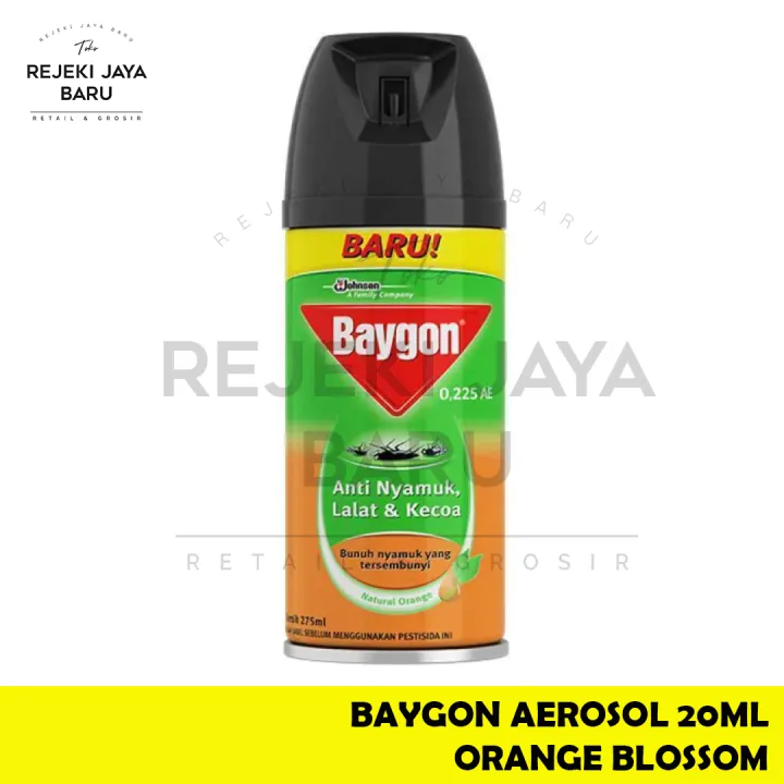 Baygon Aerosol 200ml | Lazada Indonesia