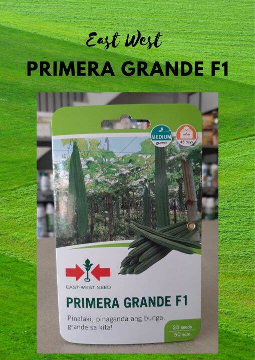 East West Primera Grande F1 Pouch | Lazada PH