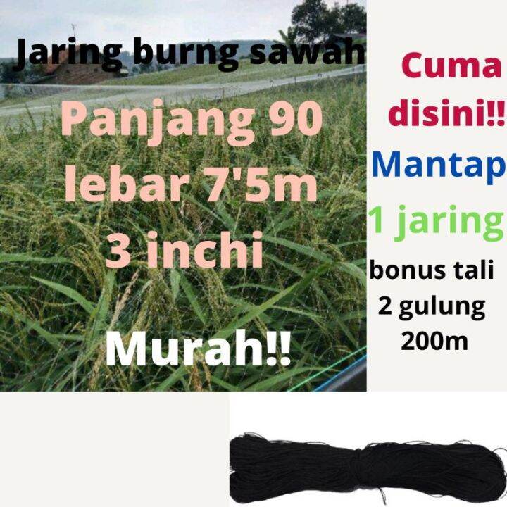 JARING BURUNG JARING PADI JARING EMPRIT JARING SAWAH 7,5x 90 METER ...