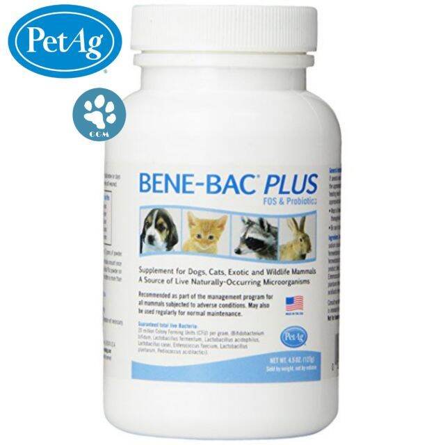 PetAg Bene-Bac Plus FOS & Probiotic Powder 4.5oz 127g | Lazada