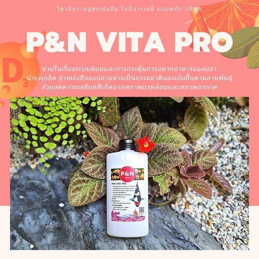 วิตามินรวมสูตรเข้มข้น P&N Vita Pro | Lazada.co.th