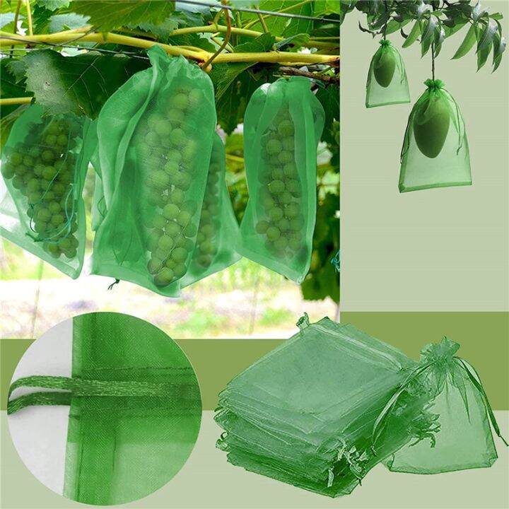Fruit Protection Mesh Bag Grape Strawberry Insect and Bird Proof Net ...