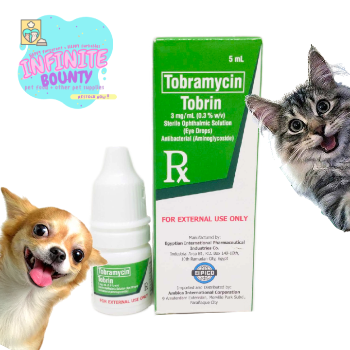 Pet Eye Care | Tobramycin | Tobrin 5ml | Lazada PH