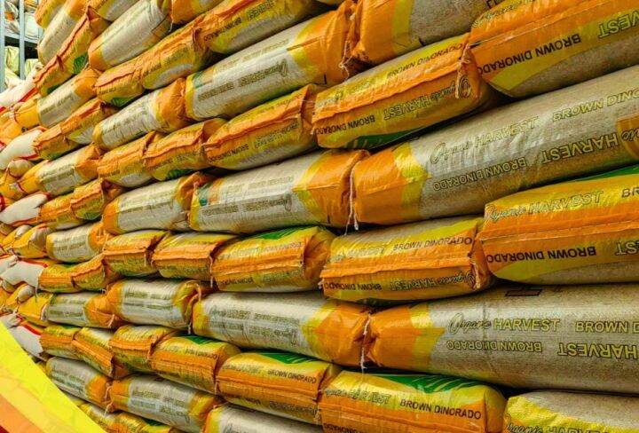 BROWN RICE DINORADO - ORGANIC HARVEST (2kg, 5kg & 25kg) | Lazada PH
