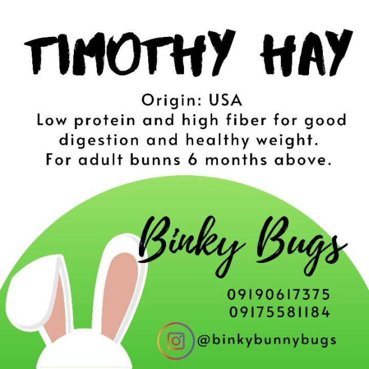 Timothy Hay Premium 500g | Lazada PH
