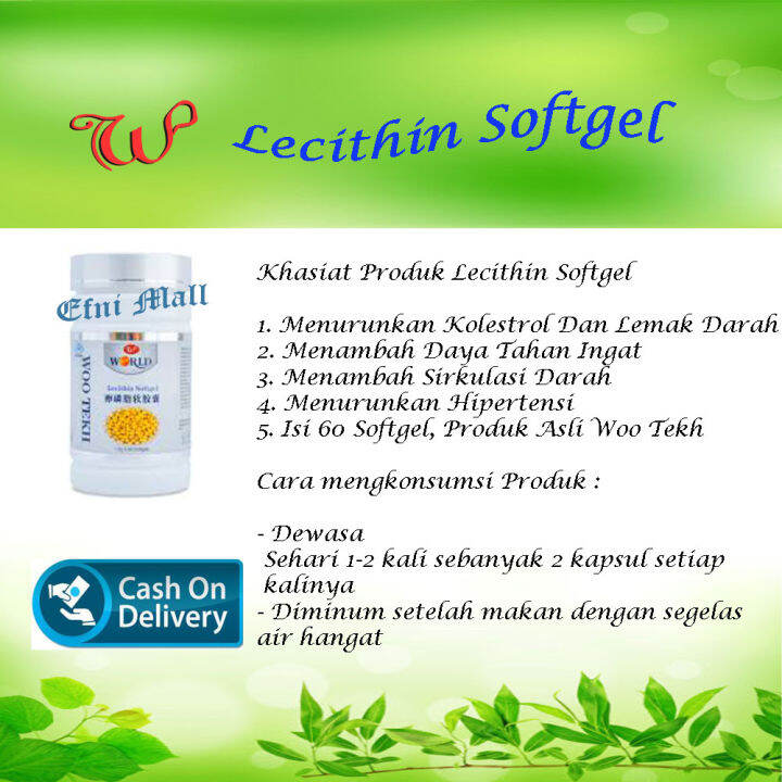 Lecithin Softgel WooTekh Original 100% Herbal - Obat Herbal Penyakit ...