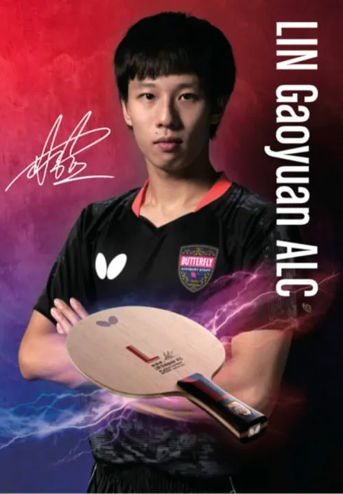 BUTTERFLY LIN Gaoyuan ALC Arylate Carbon Table Tennie Blade Ping Pong ...