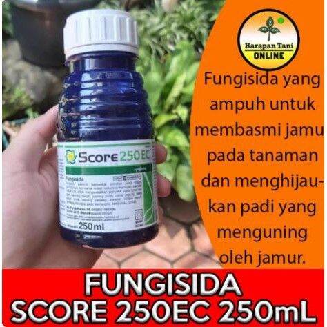 Score 250EC 250mL | Score 250EC 80mL | Fungisida | Membasmi Jamur dan ...
