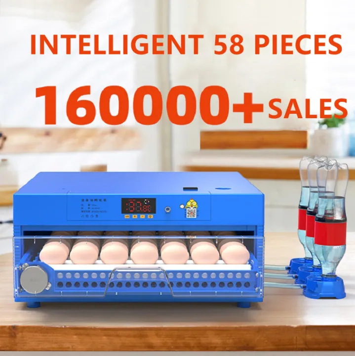 220V 12/16/36/56/64 Egg Brooder Digital Fully Automatic Incubator ...