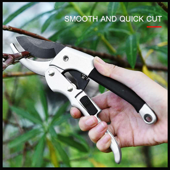Pruning Gunting Ranting Batang Tanaman Bunga Kuat dan Tajam | Lazada ...