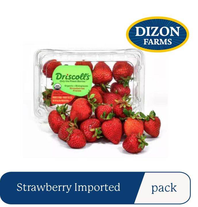Dizon Farms - Strawberry Imported / pack | Lazada PH