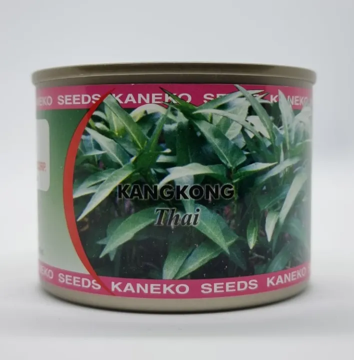 KANGKONG THAI - 100 GRAM TIN CAN / Kang Kong Seeds / Upland Kang Kong ...