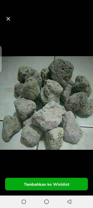 Batu apung/pumice stone filter kolam aquarium 1 kg | Lazada Indonesia