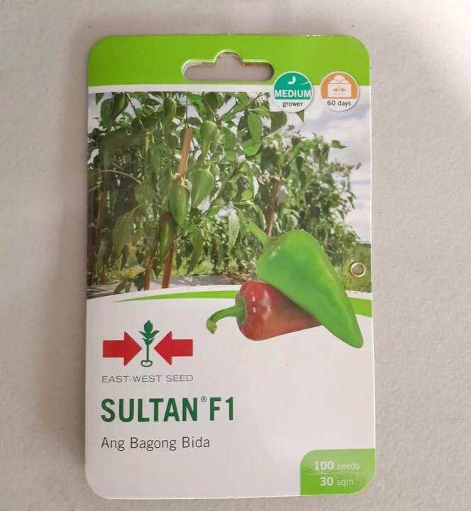SULTAN F1(100 SEEDS) HYBRID SWEET PEPPER / BELL PEPPER / ATSAL by EAST ...