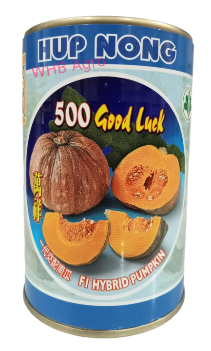 Benih Labu 500 Good Luck F1 Hybrid Pumpkin Hup-Nong - ( 150g ) 👍 💯 | Lazada