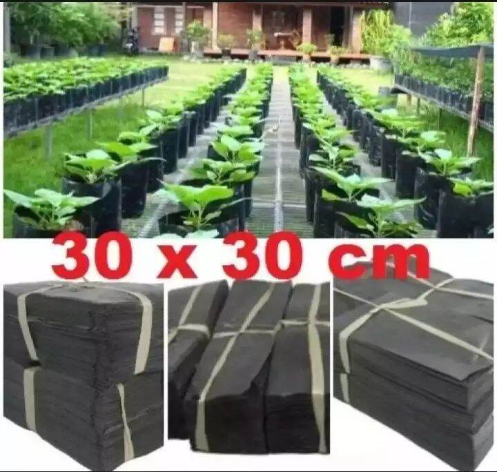 polybeg_ polibek tanaman ukuran 30×30 isi 30 pcs | Lazada Indonesia