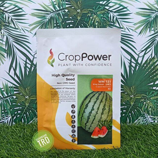 Paket 20 Gram WM 121 KING SABAH Biji Benih Tembikai Merah Cap Crop ...