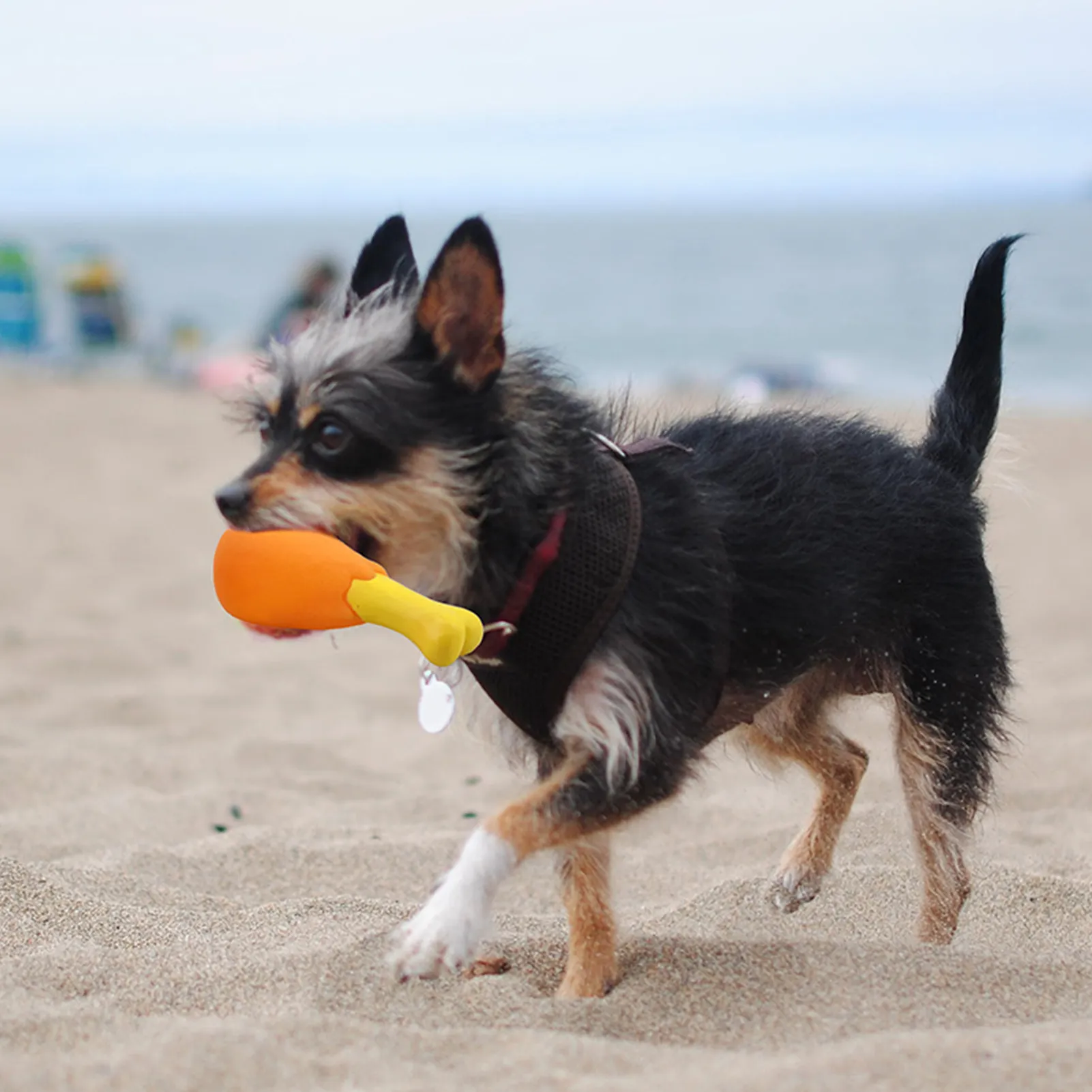 Is Pvc Safe For Dogs To Chew is-pvc-safe-for-dogs-to-chew