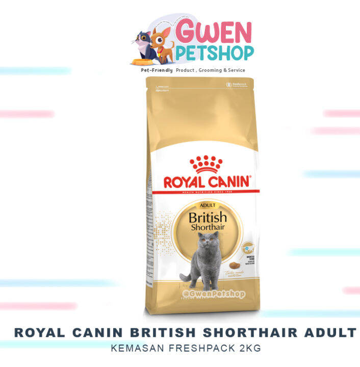 ROYAL CANIN BRITISH SHORTHAIR 2KG | Lazada Indonesia