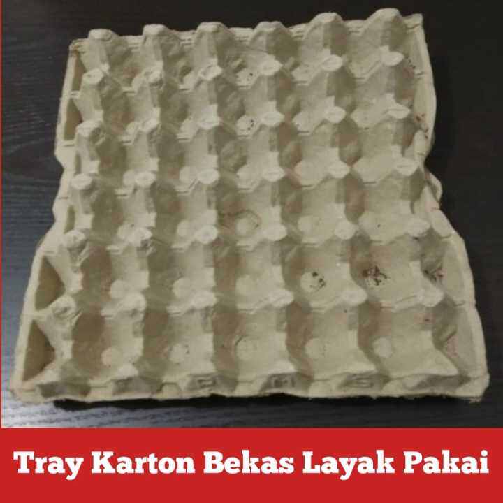 50lembar - Egg Tray Karton Second - Tempat Telur Bekas Layak Pakai - Sudah Di sortir | Lazada ...