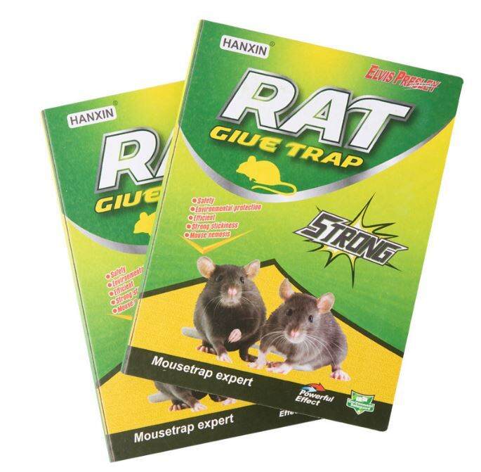 Super Glue Mouse Catcher Trap Rodent Bugs Safe Trapper Rat Glue Paste ...