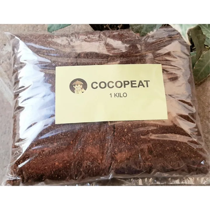 soil city Cocopeat growing media high quality and available in 1kilo ... soil city Cocopeat growing media high quality and available in 1kilo ...