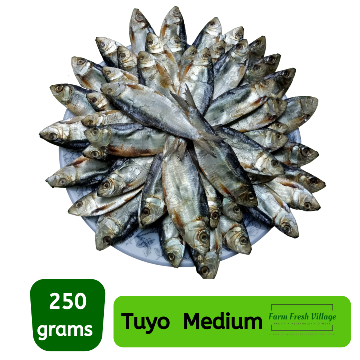 FARM FRESH VILLAGE : Dried Fish Tuyo ; 250 grams | Lazada PH