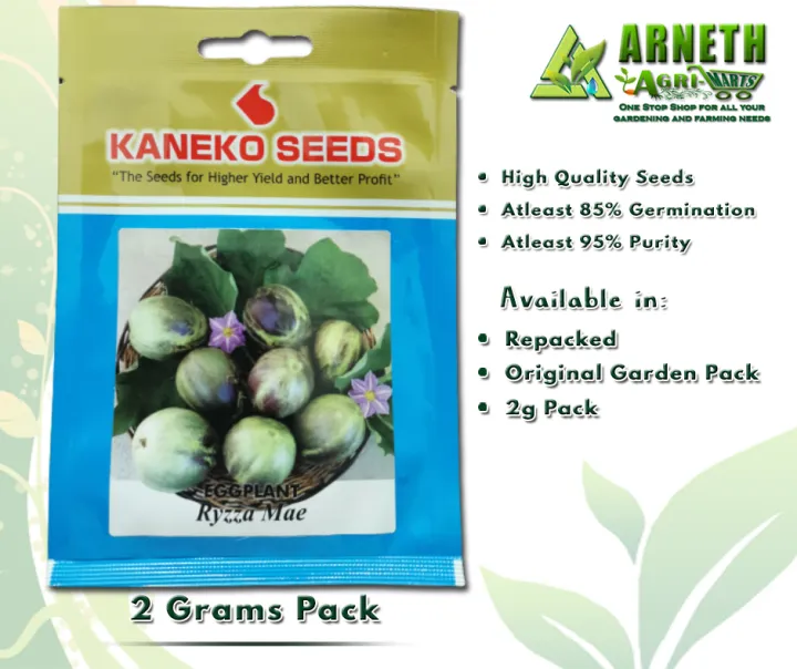 EGGPLANT RYZZA MAE SEEDS BY KANEKO (2 GRAMS) | Lazada PH