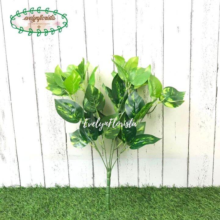 Daun Sri Gading Hijau Plastik Artificial Tanaman Hias Sirih Gading ...