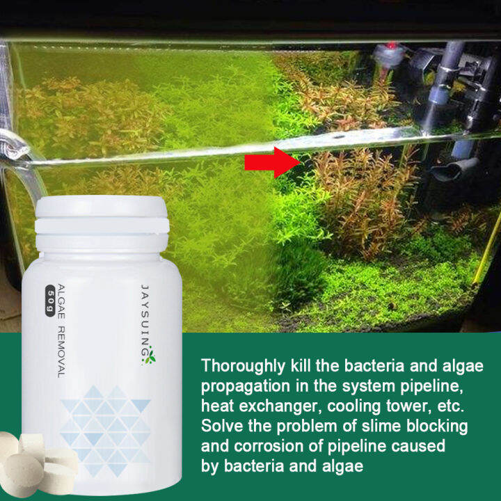 Mylife Tank Moss Remover Aquarium Algaecide Algae Repellent Agent Fish ...