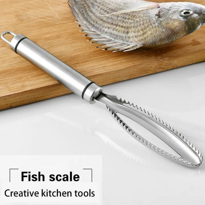 Fish Scale Remover Fish Cleaner Stainless Steel Fish Scale Scraper Skin ...