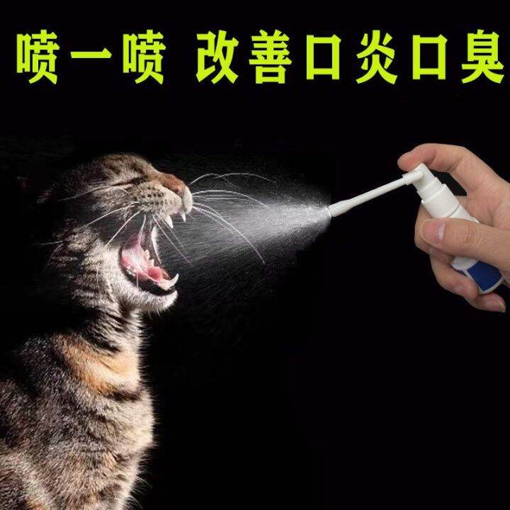 Cat stomatitis spray mouth ulcers red and swollen gums dogs puppies pet ...
