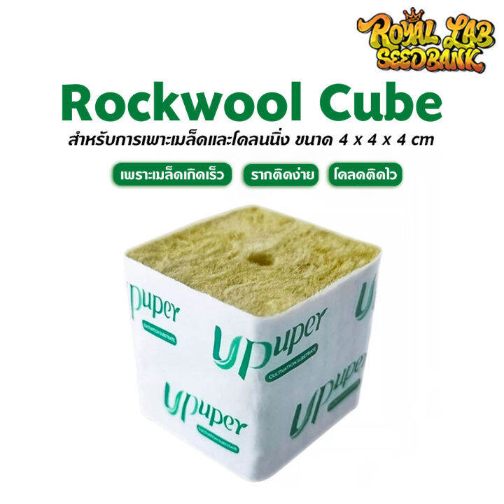 Rockwool Cubes ร็อควูลก้อน ขนาด 4x4 cm วัสดุเพาะชำ วัสดุใยหินปลูกต้นไม้ ...