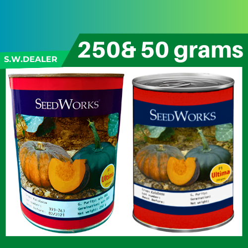 ULTIMA F1 KALABASA SEEDS BY SEEDWORKS | Lazada PH