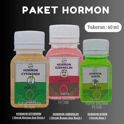 Paket Hormon Zpt Tanaman Hormon Auxin Hormon Giberelin Hormon Cytokinin ...