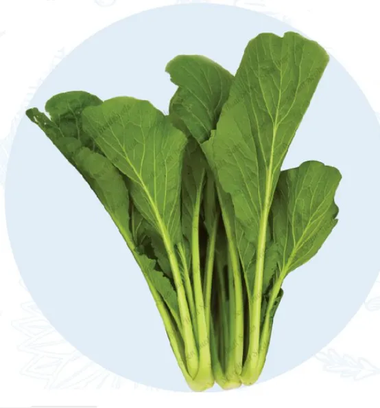 Benih Sawi Cameron/ Choy Sum Cameron Seeds / 金马伦菜心种子 (100+- Biji) | Lazada
