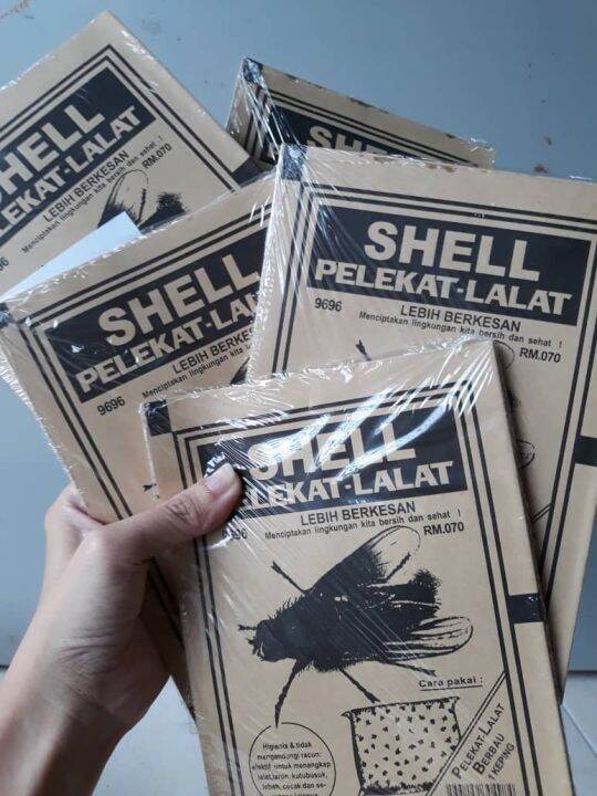 READY STOCK 10pcs Pelekat Lalat Sticky Fly Trap Shell | Lazada