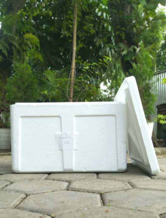 Styrofoam Box Isi 10 kg Sterofoam Box AG Ukuran 49x38x32 cm Stero ...