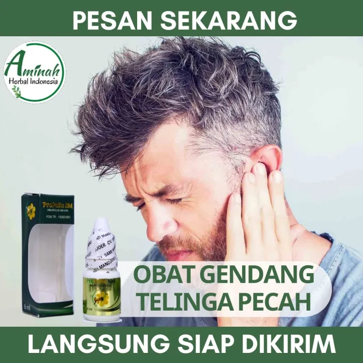 Obat Gendang Telinga Pecah - Obat Gendang Telinga Bolong, Obat Gendang Telinga Robek, Obat ...